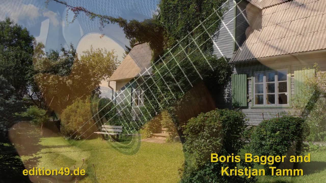 Videos - Boris Björn Bagger